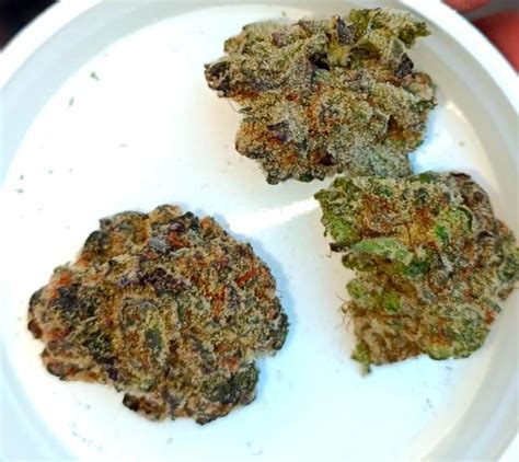 Purple Batch Of Beacon Girl Scout Cookies Lot 1621gs51201 R
