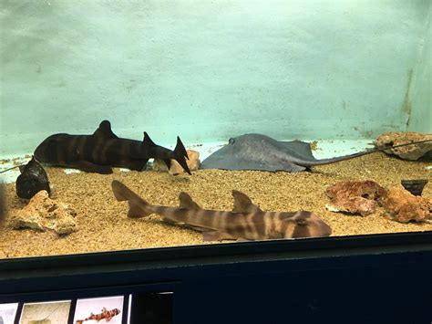 Noboru Itami Itaminoboru Twitter