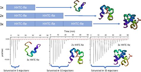 ITC Experiment To Determine Binding Parameters For Peptides X X Download Scientific