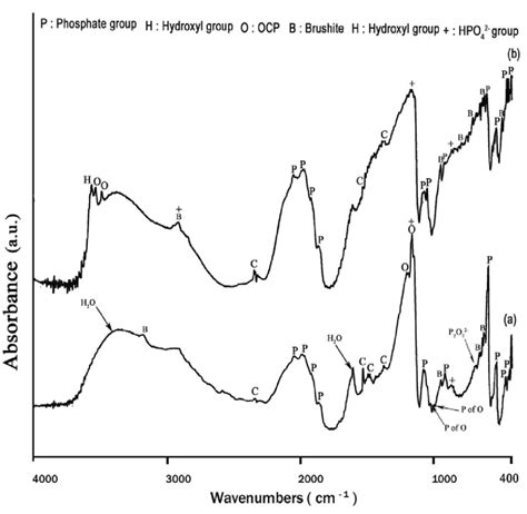 43 drft ir spectra for β tcp samples a ts2c11 and b tµs2c9