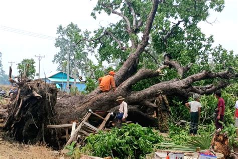 ပွင့်ဖြူမြို့နယ်၌ မိုးသက်လေပြင်းတိုက်ခတ်မှုကြောင့် ကျောင်းကုန်ကြီး