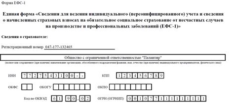 Инструкция по заполнению ЕФС 1 Контур НДС