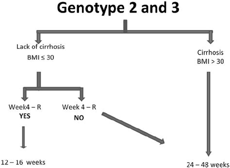 Algorithm For Response Guided Treatment In Patients Infected With