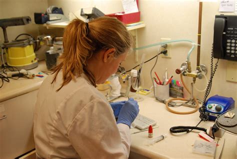 Cerec Crown Start To Finish