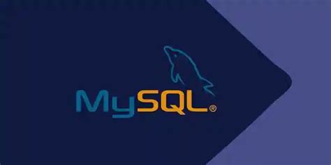 TINYINT Data Type in MySQL Özgür Özkök