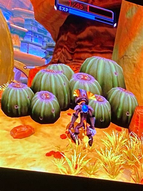 Are These Active Rmescaline