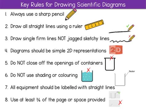 Lesson 9 Scientific Diagrams Part Of The Comprehensive Science Skills Unit Teaching Resources