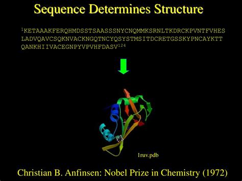 Ppt Predicting Protein Structure And Beyond … Powerpoint Presentation Id 223888