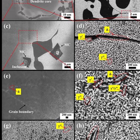 Morphologies Of The Most Important Precipitates Of As Cast Gh4169 With Download Scientific