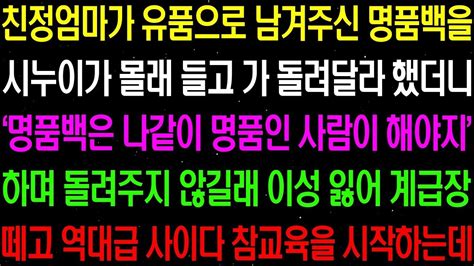 실화사연 친정엄마 유품 명품백 시누이가 가로채 나같이 명품인 사람이 써야지 충격 발언에 사이다 대응 Youtube