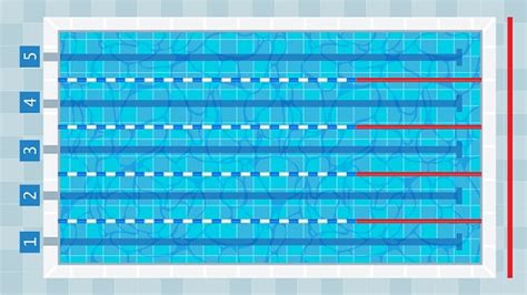 수영장 스포츠 대회 수영 깊은 목욕 차선 상위 뷰 만화 훈련 공공 피트니스 분지 물 질감 건강한 라이프 스타일 개념 벡터 그림 수영장 스포츠 경기장에 대한 스톡 벡터 아트