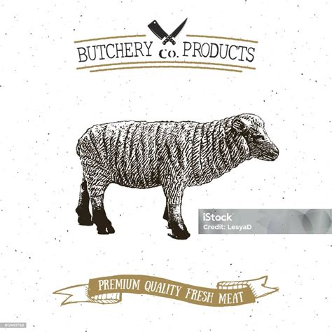 정육점가 게 빈티지 엠 블 럼 양고기 고기 제품 도살 아이콘 템플릿 복고 스타일 Icontype 레이블 배지 및 브랜드 디자인에 대 한 빈티지 디자인 벡터 일러스트 레이 션