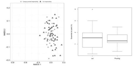 Figure A7 15 Dendrogram Showing The Grouping Of Leaves Branches And