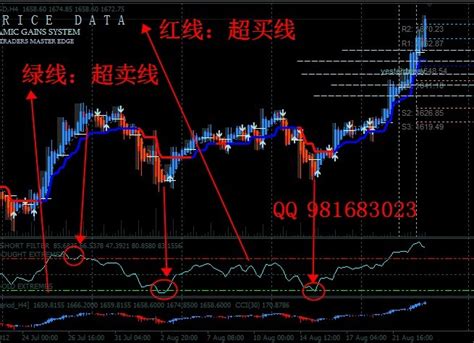 Mt4 ֹͣea 随意云