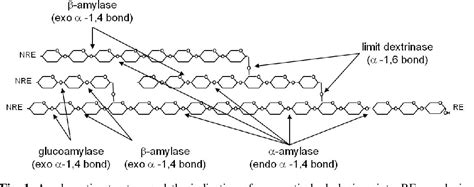 figure 1 from the evolution of dextrins during the mashing and fermentation of all malt whisky