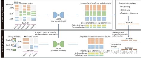 多模态数据融合绝绝子！新idea连中3篇nature！ 知乎