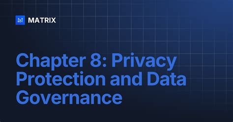 Chapter 8 Privacy Protection And Data Governance Matrix