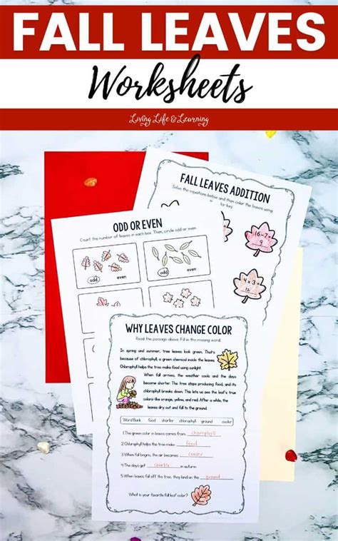 Fall Leaves Worksheets Packed With Seasonal Fun