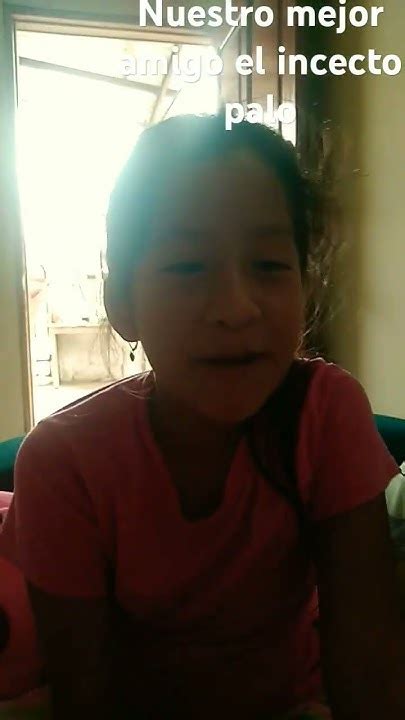 Nuestro Mejor Amigo El Incecto Palo Youtube