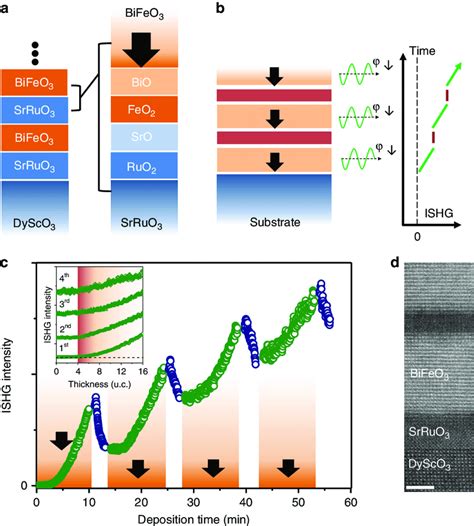 Engineering Ferroelectric Multilayers With User Defined Updown Download Scientific Diagram