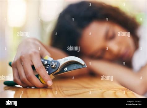 Be Careful When Using Sharp Objects A Tired Nursery Owner Taking A Break From Work To Nap Stock