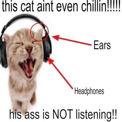 His Ass Is Not Listening Rokbuddyretard Know Your Meme