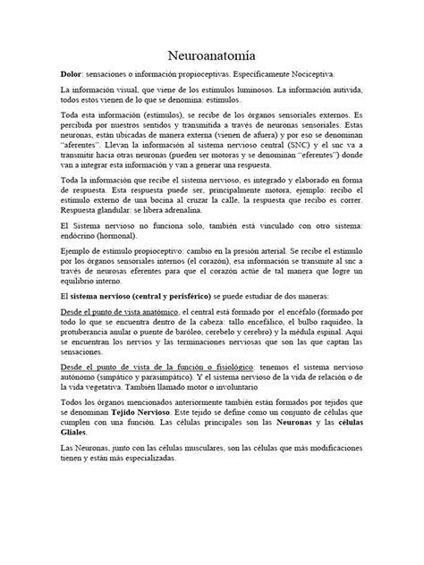 Neuro Pdf Sistema Nervioso Neurona