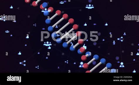 Animation Dna Strand Spinning Digital Stock Videos Footage HD And K Video Clips Alamy