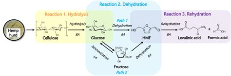 Reaction Cascade For The Formation Of Levulinic Acid From Download Scientific Diagram