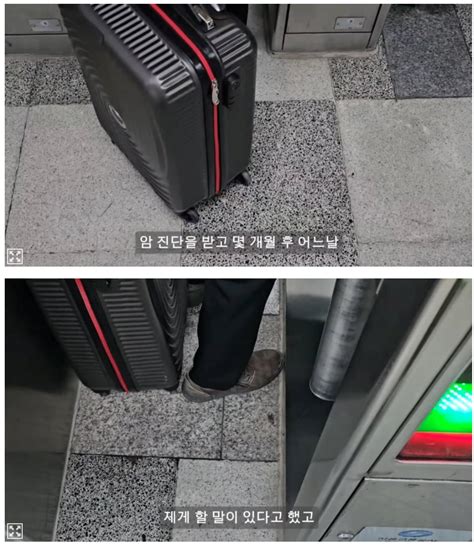 암 걸린 후 이혼 통보 받은 여자의 브이로그 포텐 터짐 최신순 에펨코리아