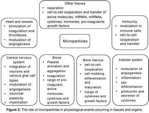 The Clinical Utility Of Circulating Microparticles Measure