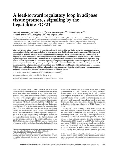 A Feed Forward Regulatory Loop In Adipose Tissue Promotes Signaling By