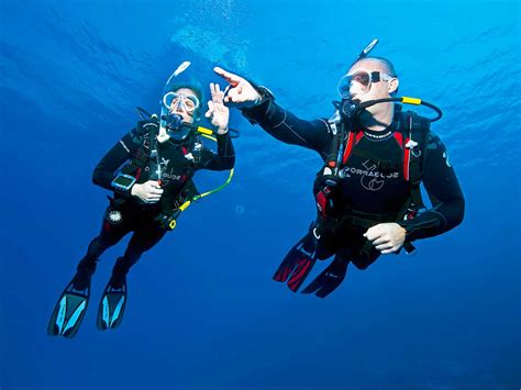 Ssi Vs Cmas A Comprehensive Comparison Of Diving Certifications