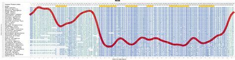 MIS18A Gene - GeneCards | MS18A Protein | MS18A Antibody