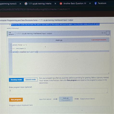 111 Zylab Training Interleaved Input Output Auto Graded Programming Assignments Have