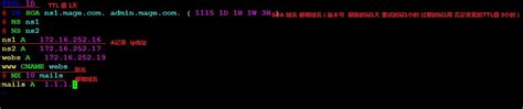 Dns系列 2dns服务搭建（bind编译安装） Csdn博客
