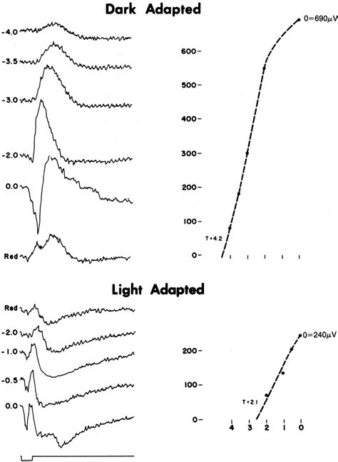 Volume Chapter Clinical Visual Electrophysiology Clinic Visual Chapter