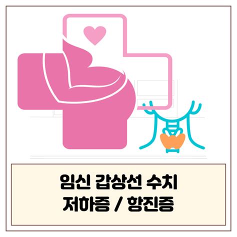 임산부 갑상선 수치 기능 저하증 항진증 알아보자 네이버 블로그