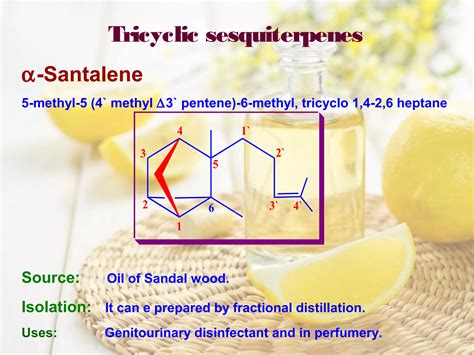 Phytochemistry Essential Oils Terpene Hydrocarbons Ppt