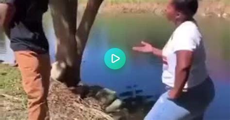 I Chuckled Album On Imgur