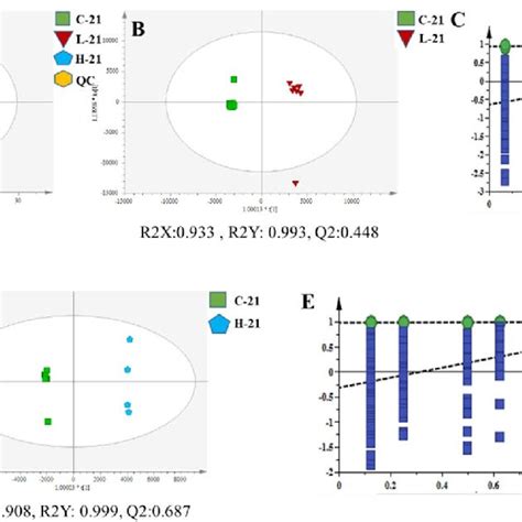 Pca And Opls Da Score Plot Between Different Groups At 10 Days A Pca