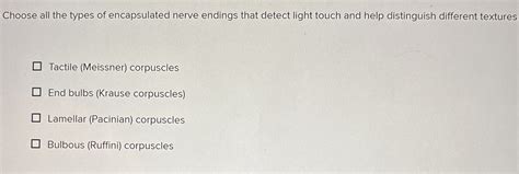 Solved Choose All The Types Of Encapsulated Nerve Endings