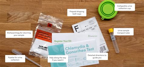 At Home Chlamydia And Gonorrhea Test Everlywell