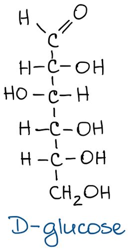 Biochem Exam 2 Flashcards Quizlet