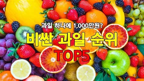 세상에서 가장 비싼 과일 순위🍈 Top5 Youtube