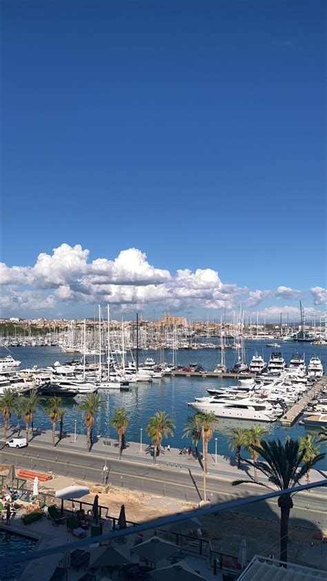 Cathal Meehan On Linkedin The End Of August Every Year For Me Is The