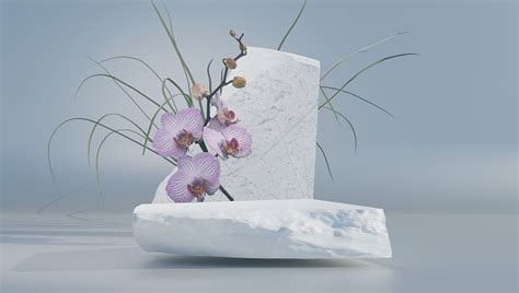 천연 파스텔 색상의 화장품배경 흰색 배경에 돌 연단과 건조 꽃 전면 보기입니다 3d 렌더링 3차원 형태에 대한 스톡 사진 및 기타 이미지 Istock