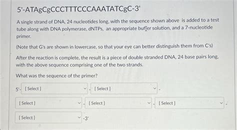 Solved 5 Atagcgccctttcccaaatatcgc 3 A Single Strand Of