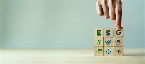 Directors Role Amidst Recent Trends In The Business World