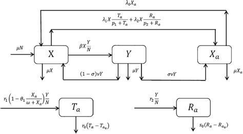 Schematic Diagram Of Model Dynamics Download Scientific Diagram